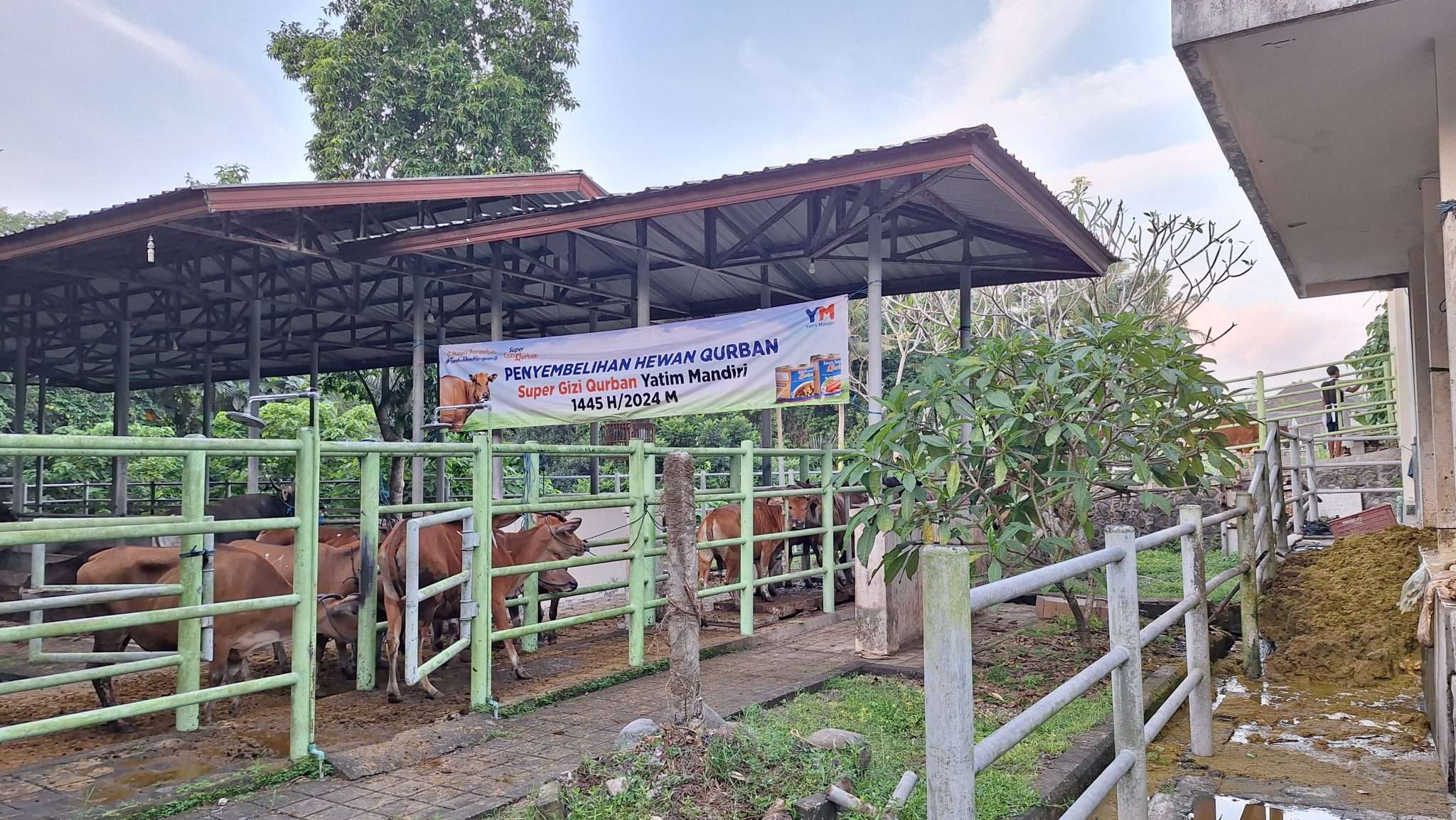 Super Gizi Qurban: Upaya Luaskan Manfaat Daging Sapi Qurban