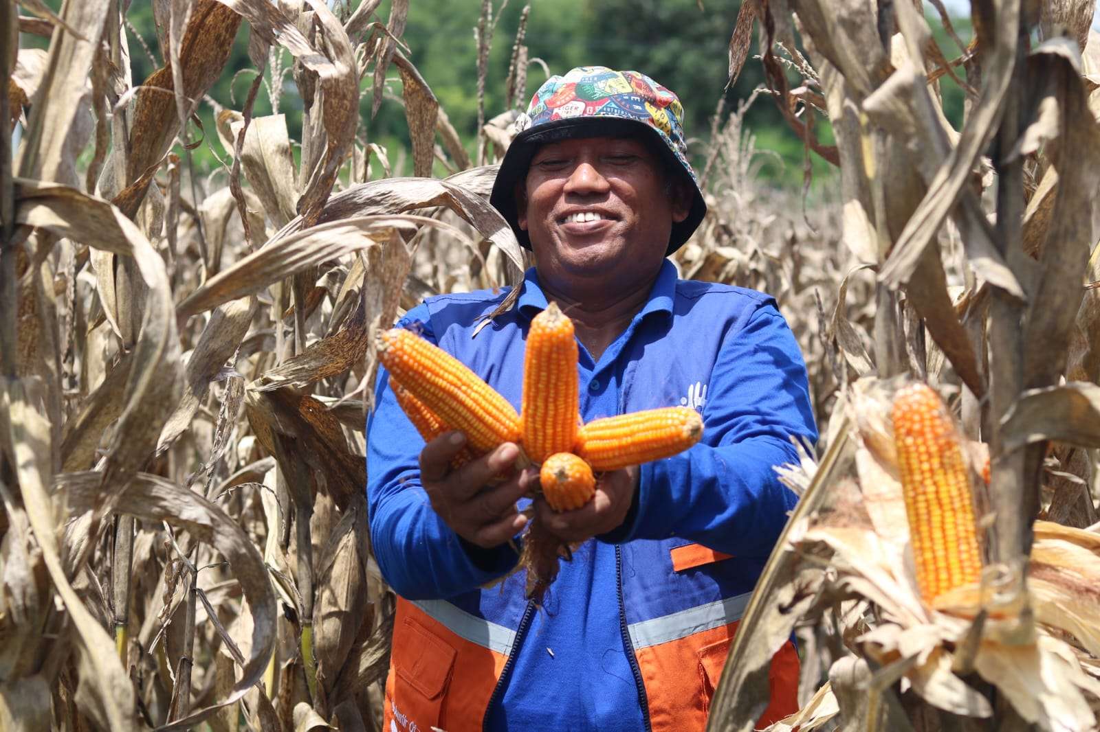 Panen Raya Jagung Program Pemberdayaan Petani di Kediri